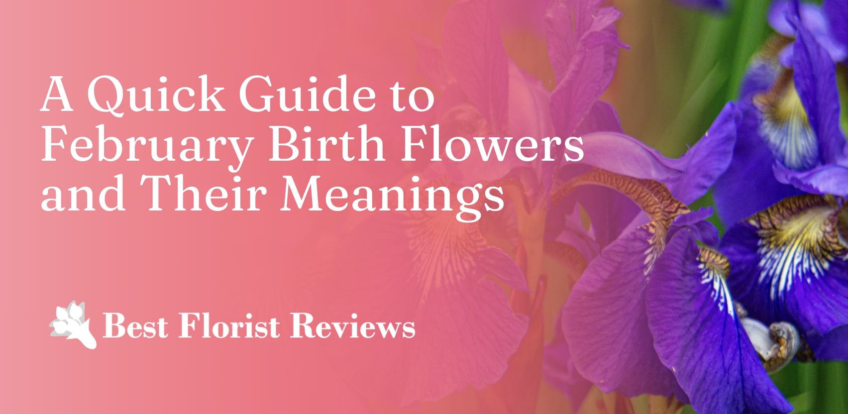 A Quick Guide to February Birth Flowers and Their Meanings [2025]