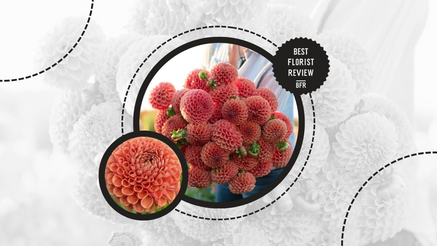15 Stunning Dahlia Colors That Will Make Your Garden Pop [2026]