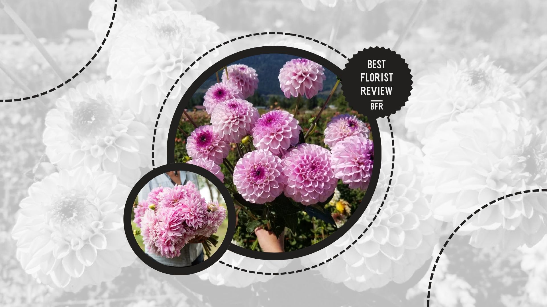 15 Stunning Dahlia Colors That Will Make Your Garden Pop [2026]