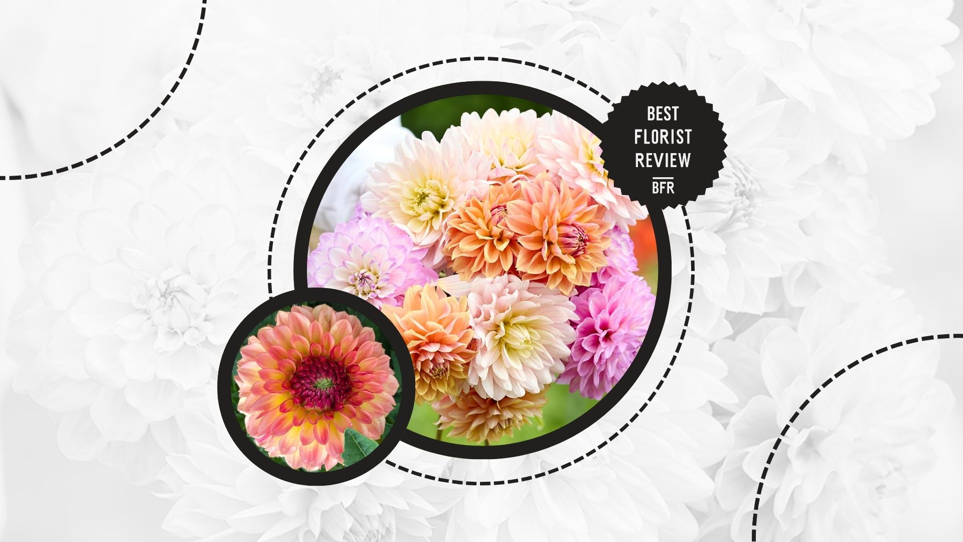 15 Stunning Dahlia Colors That Will Make Your Garden Pop [2026]