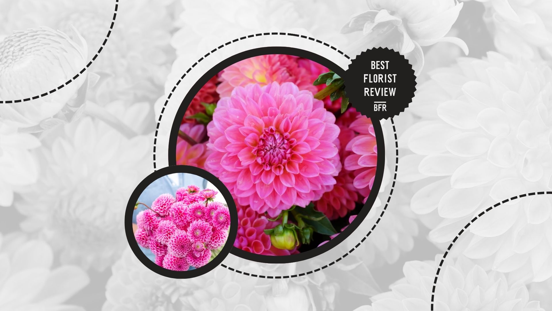15 Stunning Dahlia Colors That Will Make Your Garden Pop [2026]