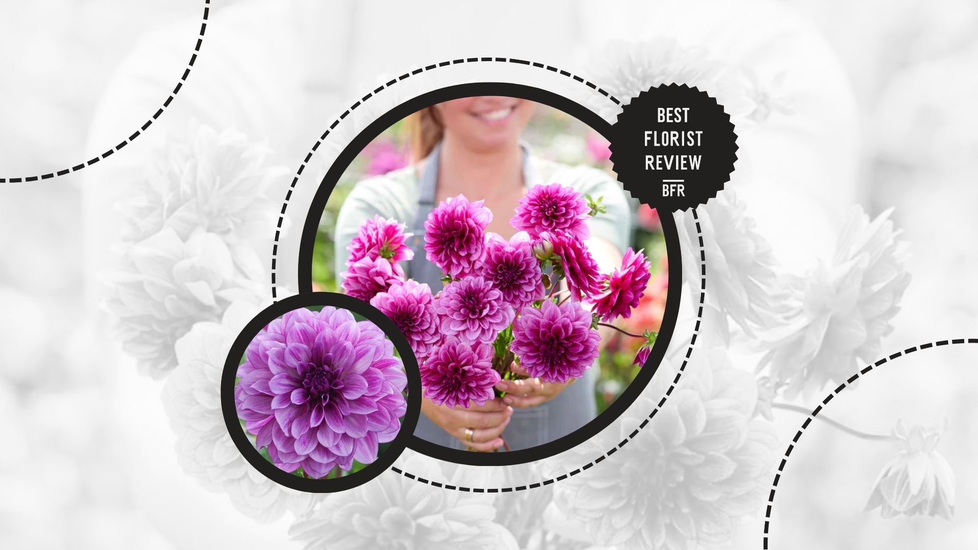 15 Stunning Dahlia Colors That Will Make Your Garden Pop [2026]